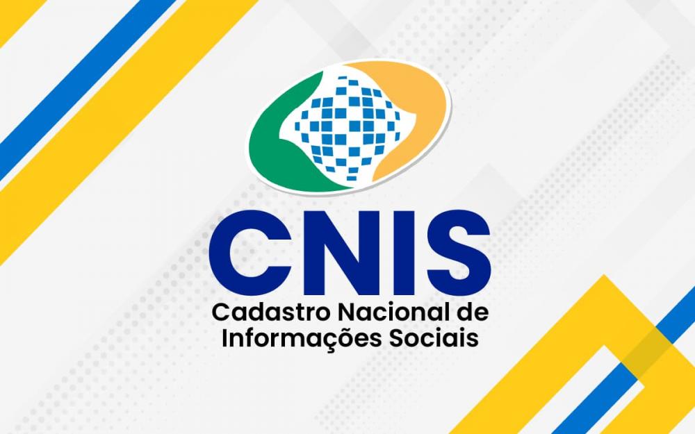 Como Consultar o CNIS pelo CPF: Guia Completo